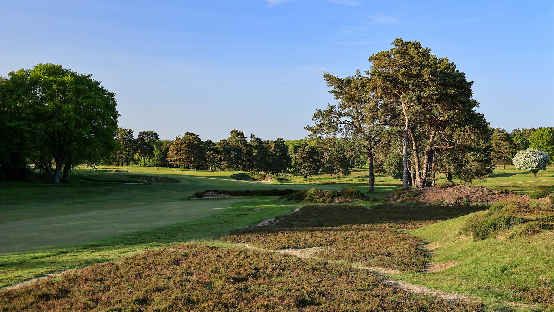 Hartwiger and Kennedy take command of Senior Amateurs